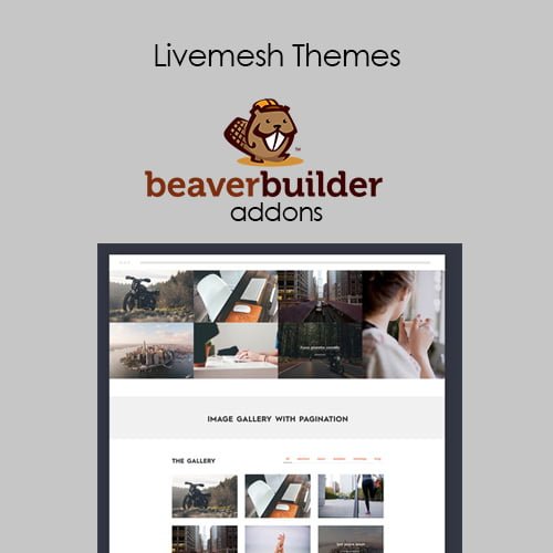 Livemesh Addons for Beaver Builder - Digi Pack